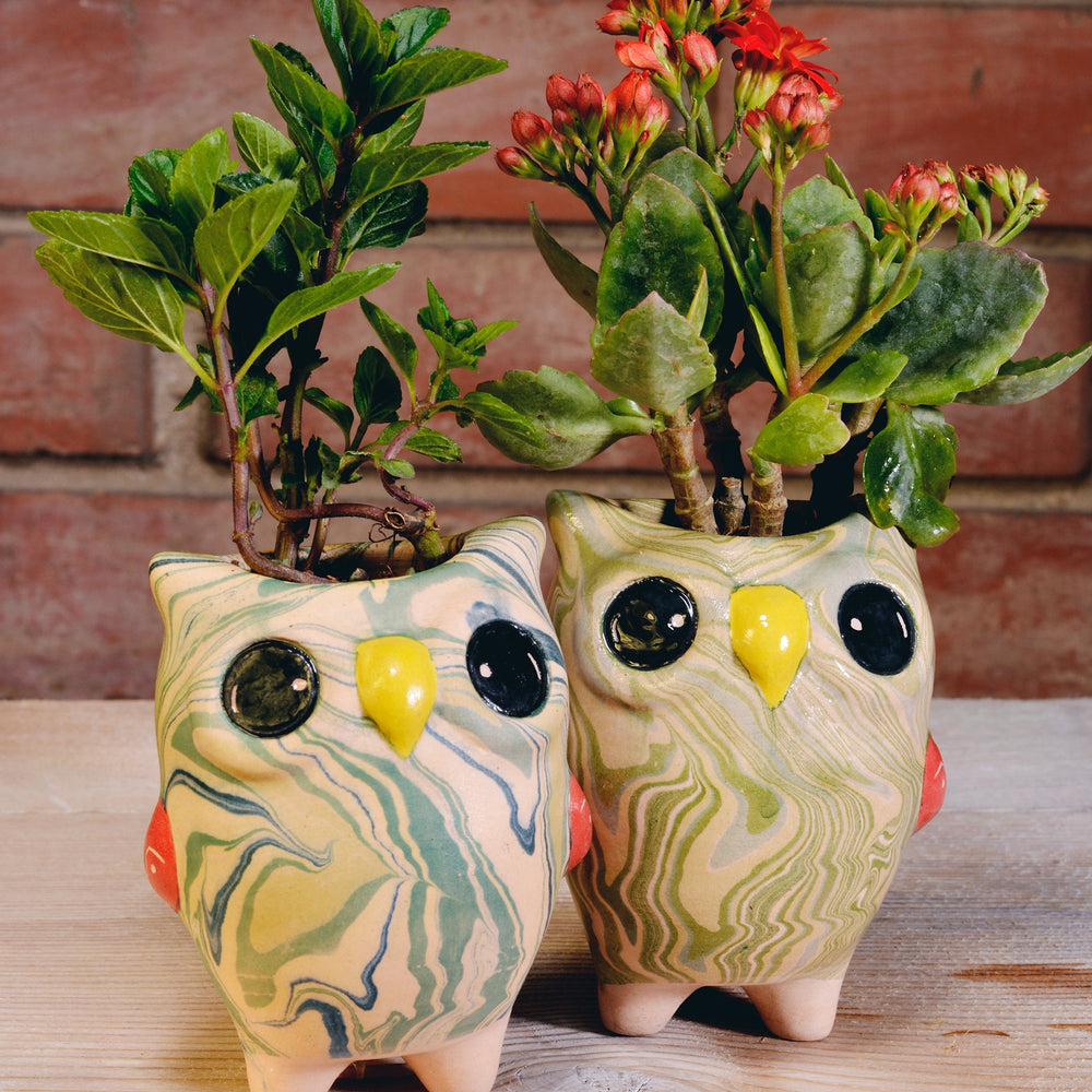Fair Trade Owl - Plant Pot by Lucuma Designs